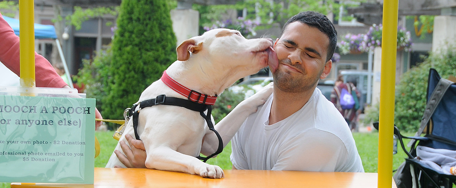 Animal Adoption and Placement – Mobilization For Animals PA