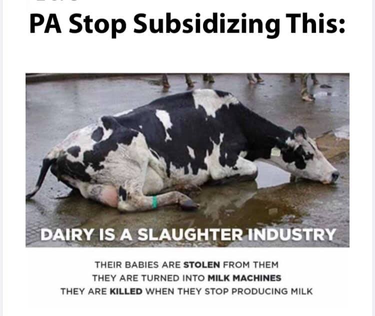 Pave the way to a Plant-Based PA! – Mobilization For Animals PA